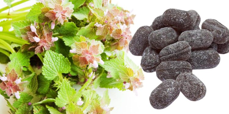 Horehound Candy: The Perfect Gift for Candy Lovers - FIZARA