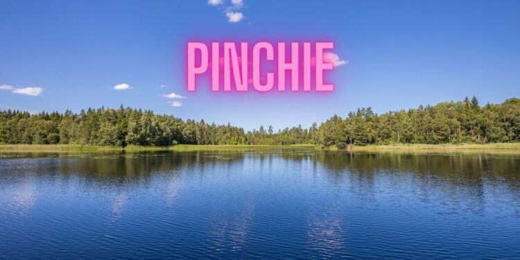 Pinchie: Uncovering the History and Culture