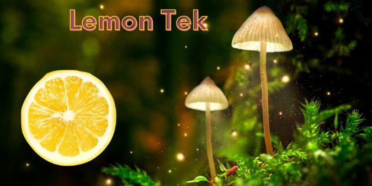 The Benefits of Lemon Tek for Magic Mushroom Preparation